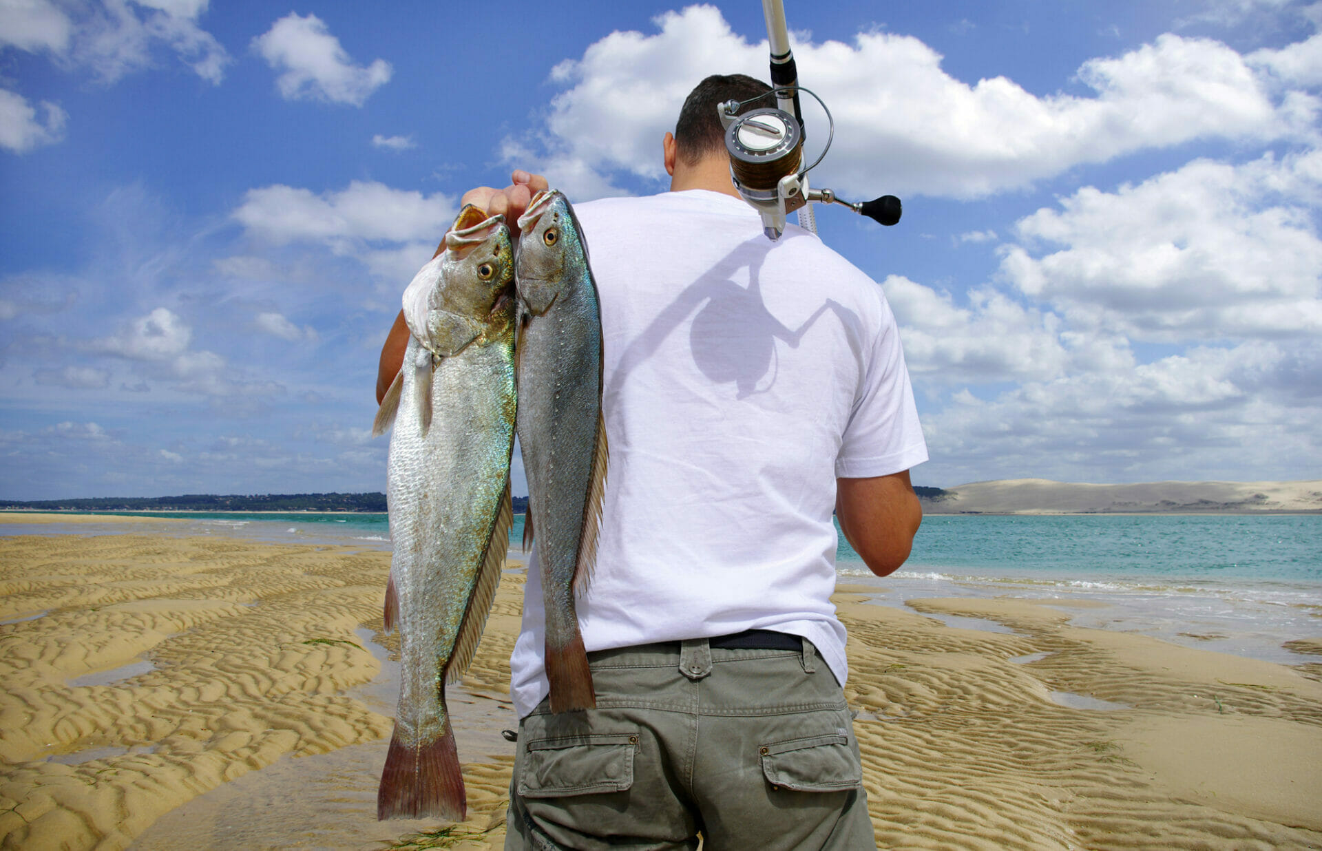 Surf Fishing: How to Catch Fish from the Beach | Boating World
